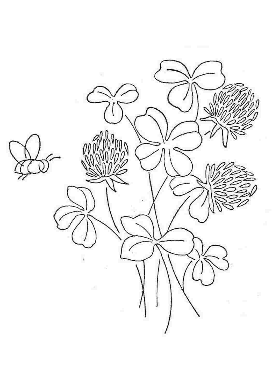 Раскраски, раскраски природа. Развивающие раскраски. раскраски природа ...