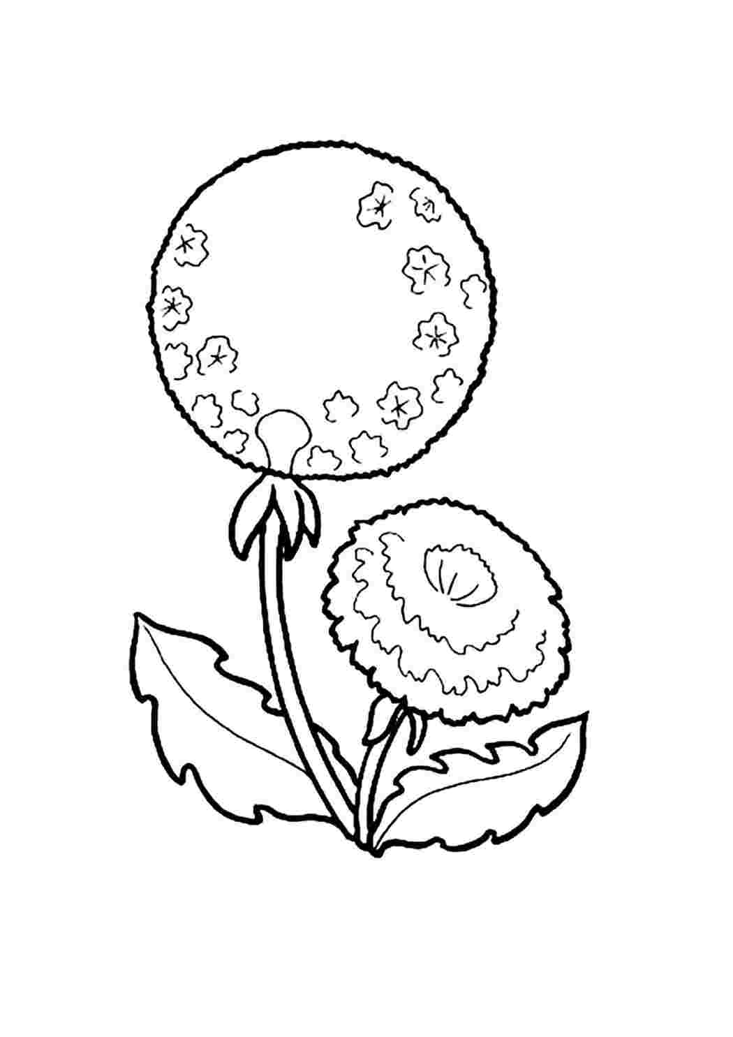 Раскраски, раскраски природа. Лучшие раскраски. раскраски природа ...