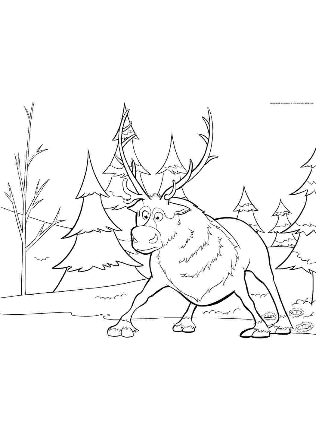 Раскраска олень мультфильма. Олень из мультфильма холодное сердце ...